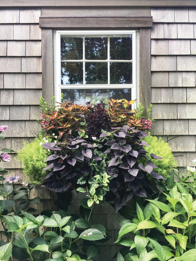 Pops of Color – Cape Cod and The Islands Magazine