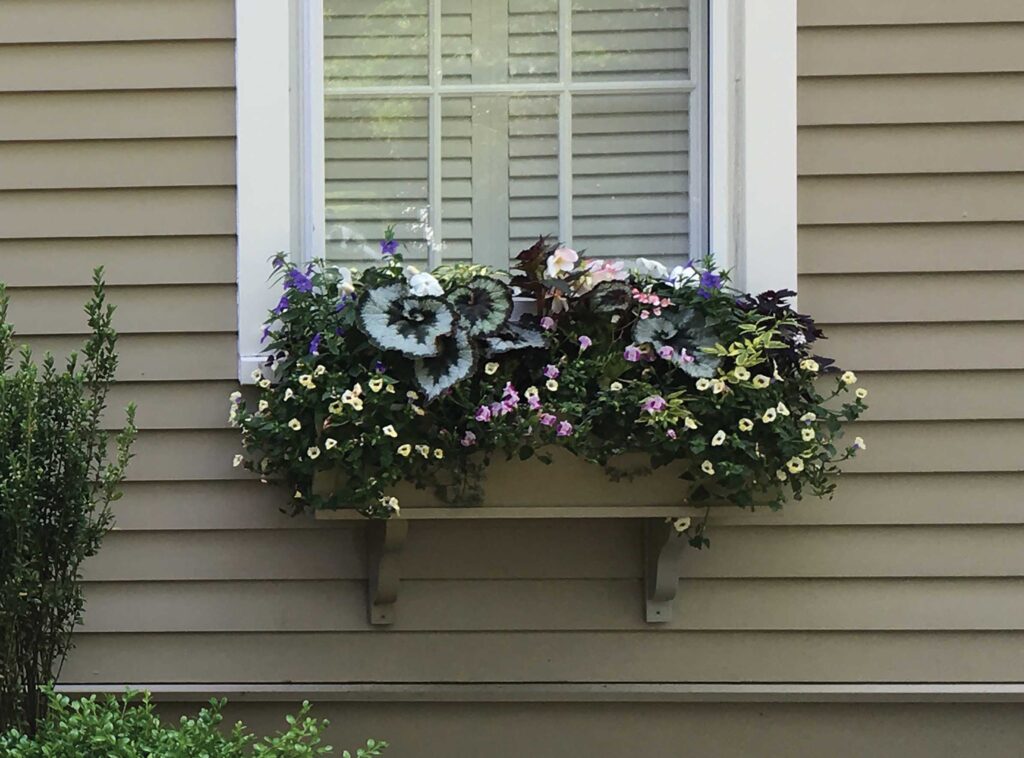 Pops of Color – Cape Cod and The Islands Magazine