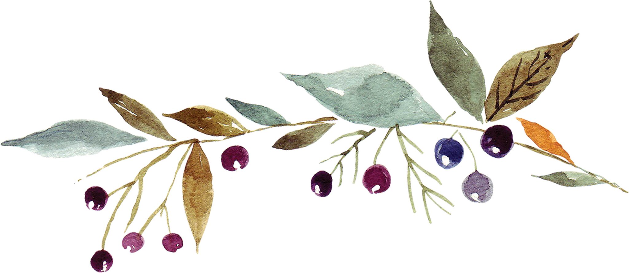 Deirdre Grace Callanan – Cape Cod and The Islands Magazine