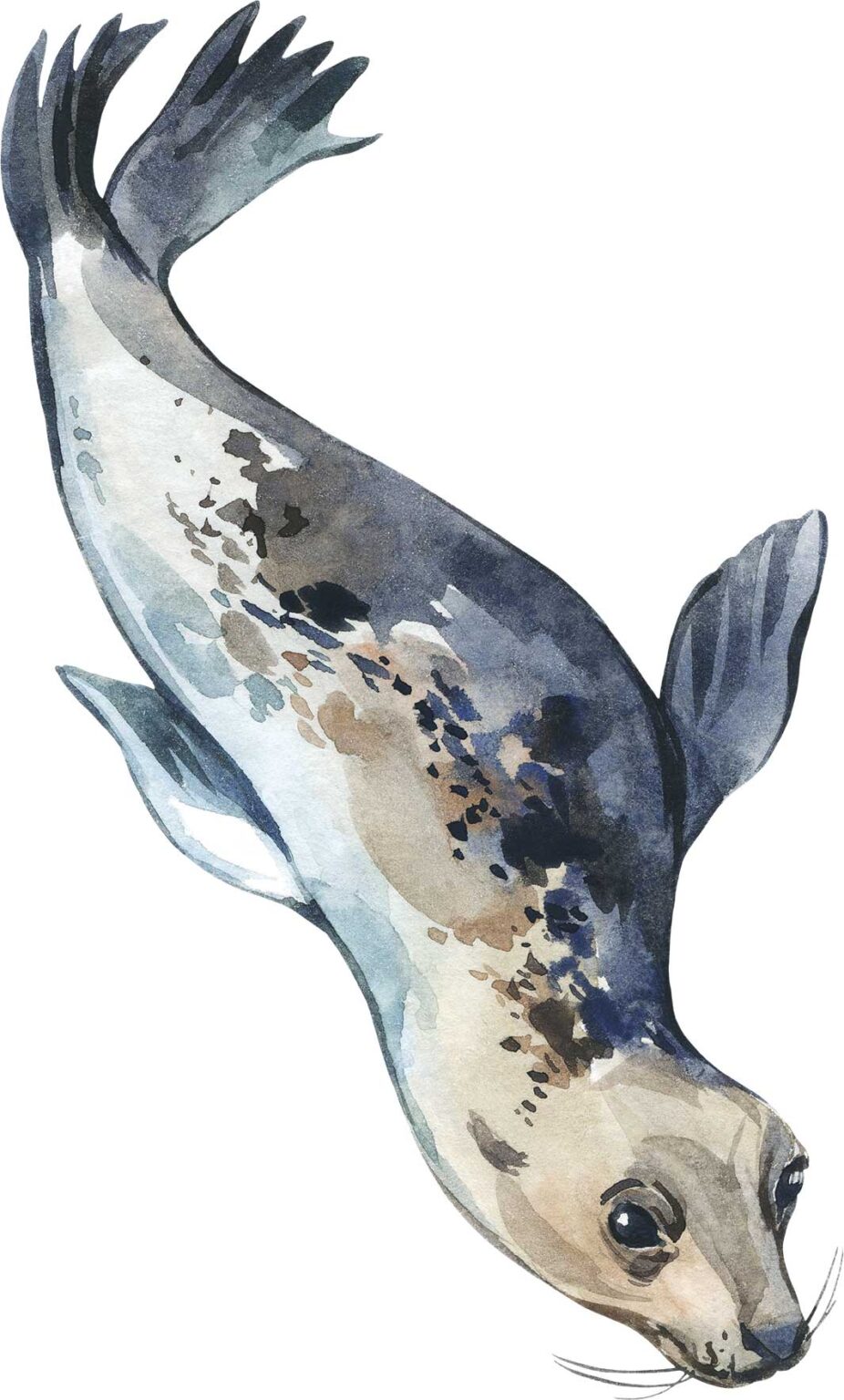 Deirdre Grace Callanan – Cape Cod and The Islands Magazine