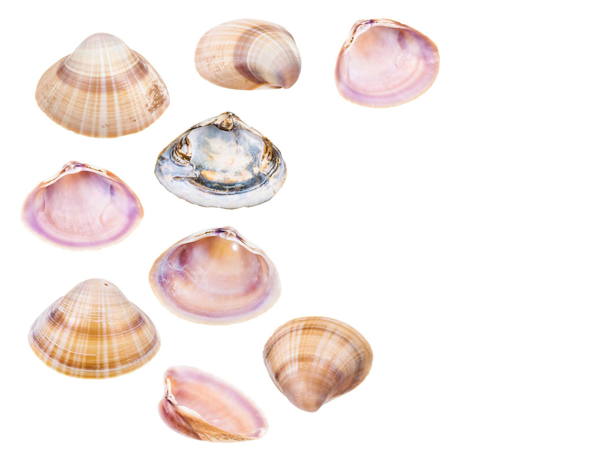 Nature’s Classroom – Cape Cod and The Islands Magazine