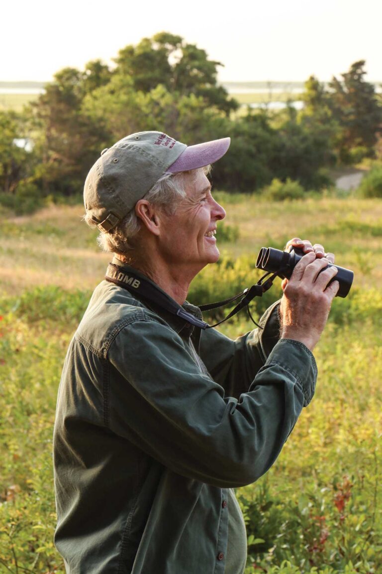 A Beginner’s Guide to Birding on Cape Cod & the Islands – Cape Cod and ...