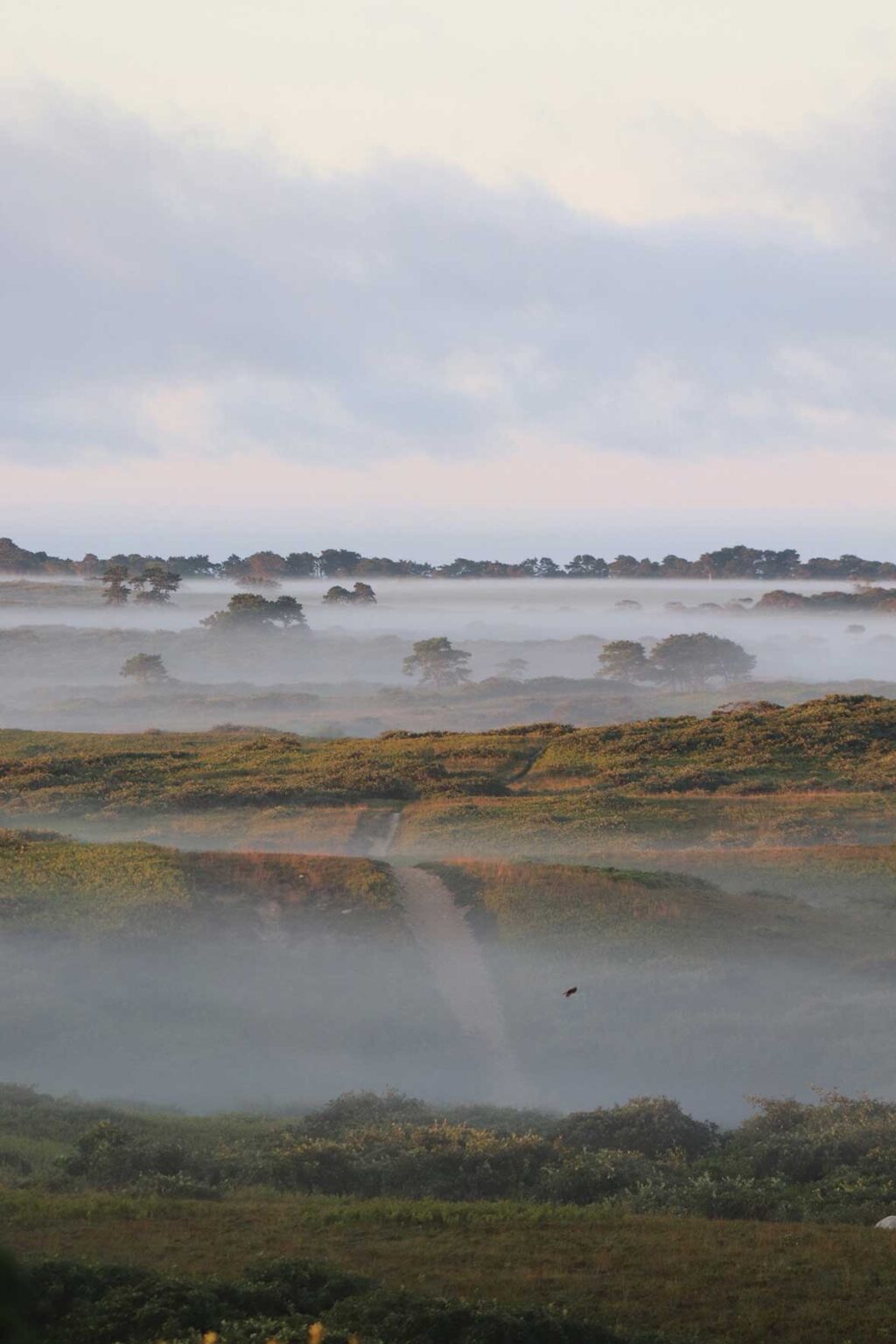 Winter Walks on Cape Cod and the Islands – Cape Cod and The Islands ...