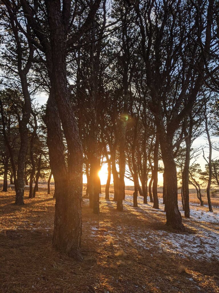Winter Walks on Cape Cod and the Islands – Cape Cod and The Islands ...