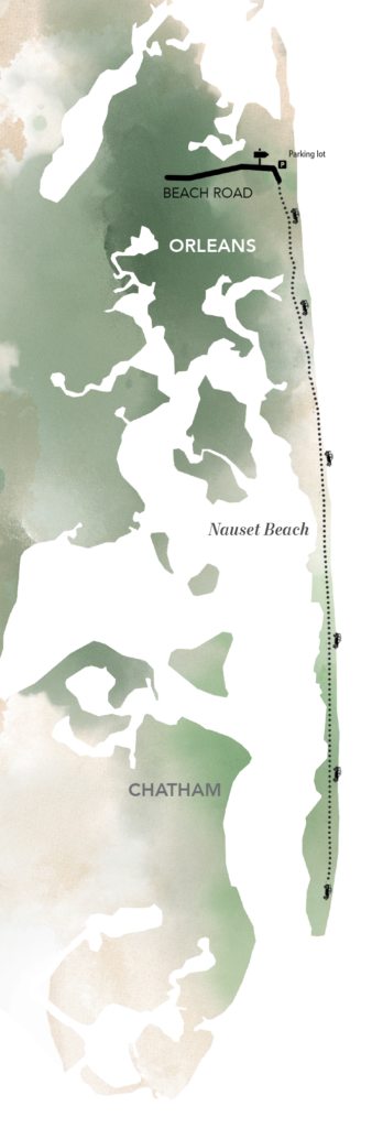 Beach Cruisers – Cape Cod and The Islands Magazine