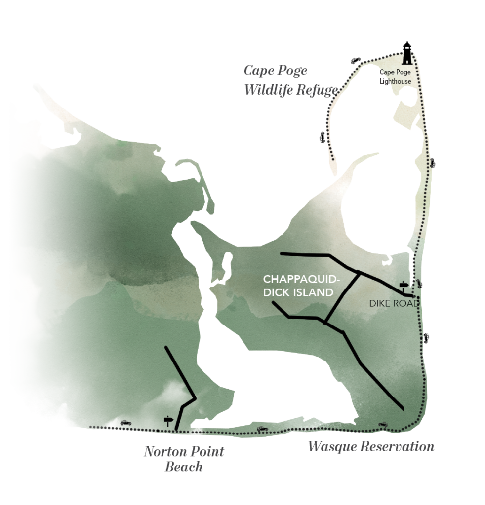 Beach Cruisers – Cape Cod and The Islands Magazine