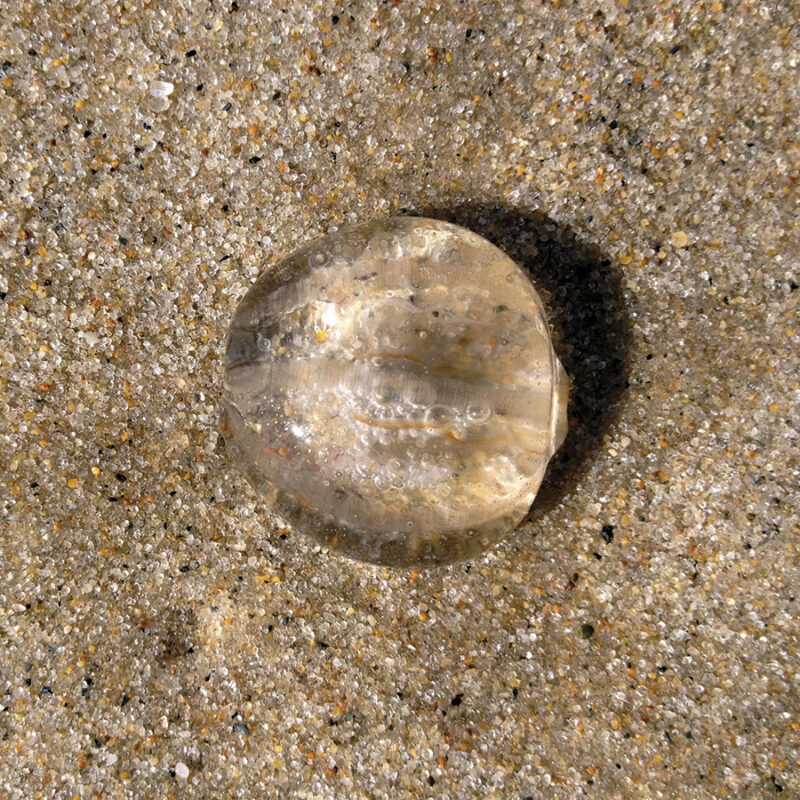 Treasures on the Shoreline – Cape Cod and The Islands Magazine