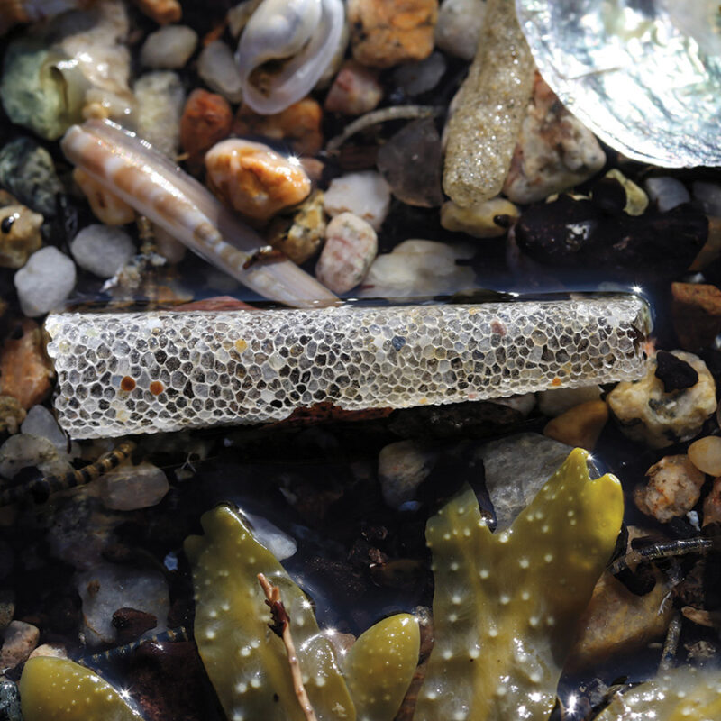 Treasures on the Shoreline – Cape Cod and The Islands Magazine