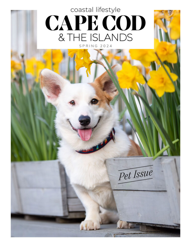 digital issues – Cape Cod and The Islands Magazine